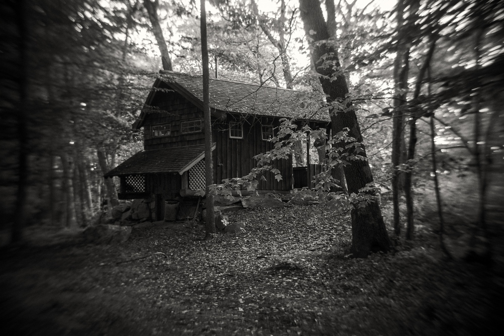 The Cabin by Andrew Hogan