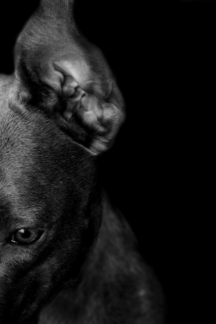 Legacy - Katherine Carver