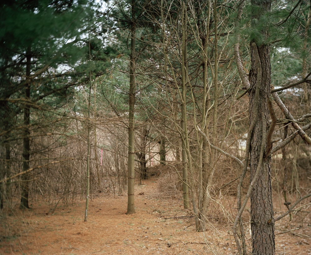 Photographs of nature by Eric Weeks - Eric Weeks | Photography & Video