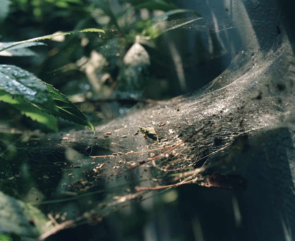 Photographs of nature by Eric Weeks - Eric Weeks | Photography & Video