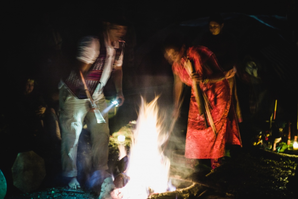 We Sing To The Plants - Chris Rubey Photography