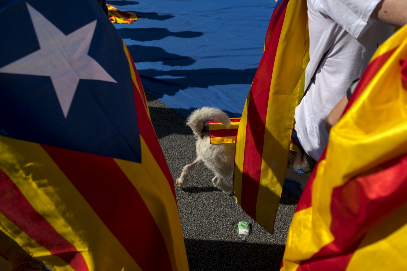 Daniel Cole | Stories