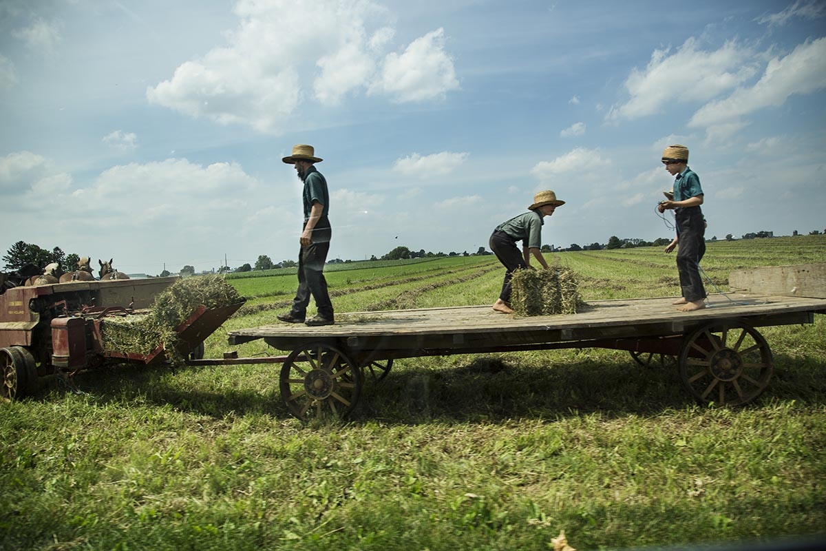 The Amish world - Catalina Martin-Chico