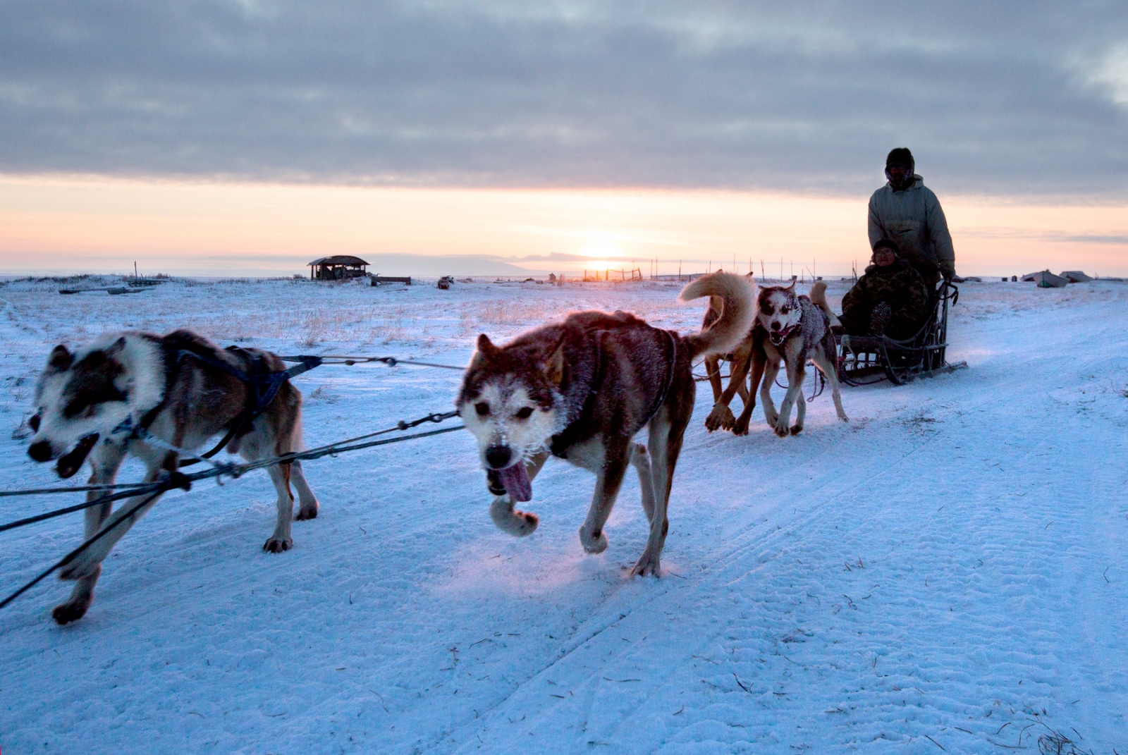 Shishmaref: A Native American Struggle - Editorial, Documentary ...