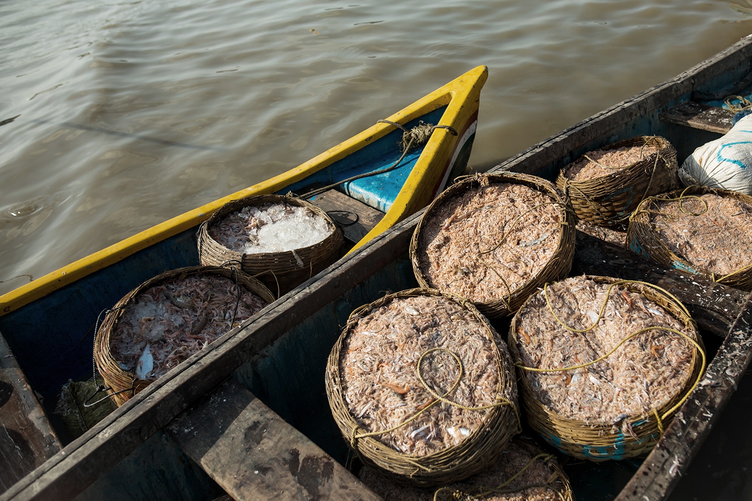 Midst of a City by Kanishka Sonthalia