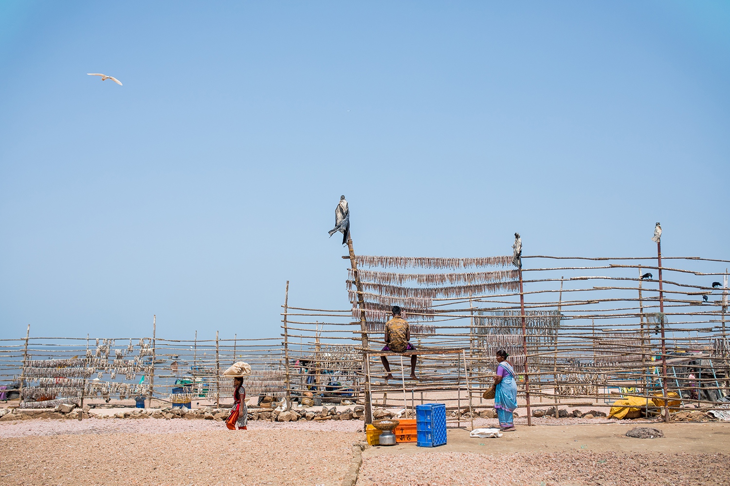 Midst of a City by Kanishka Sonthalia