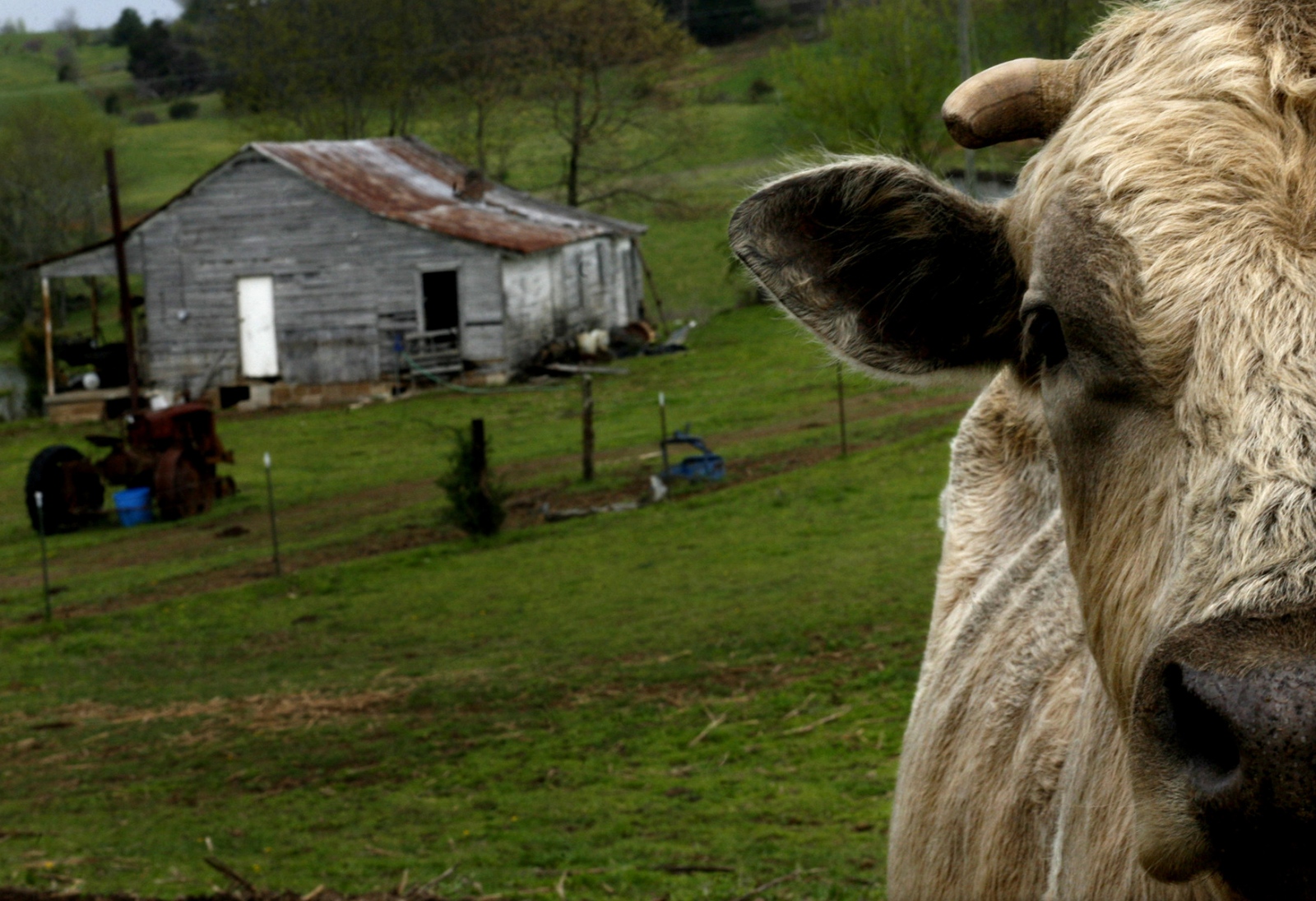 Kentucky Roots - Renée Deemer - Visual Journalist