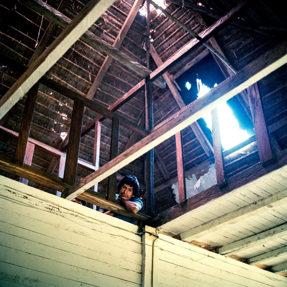 The Mascho Piro - The New Yorker - Aaron Vincent Elkaim