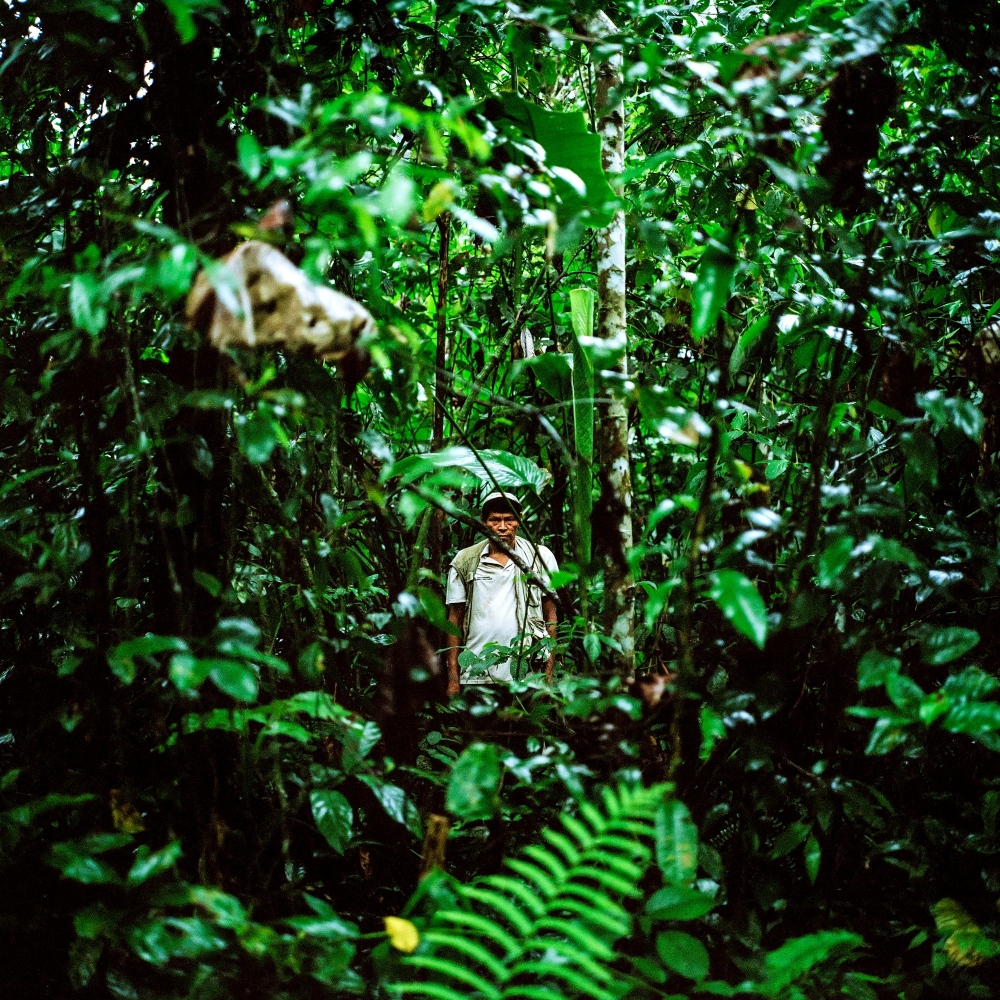 The Mascho Piro - The New Yorker - Aaron Vincent Elkaim