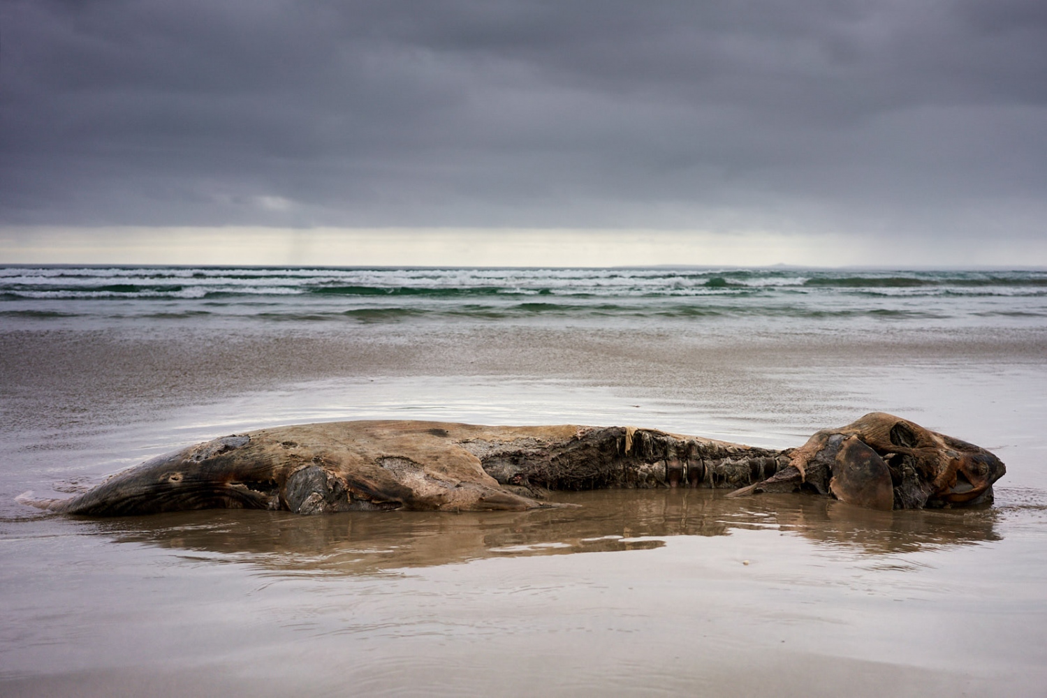 Todd M. Henry | Stories