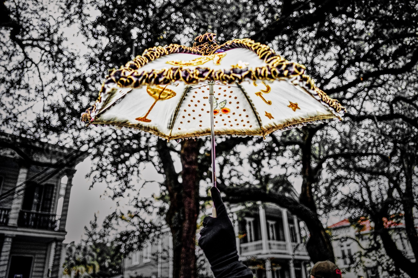 Carnival, Festival & Parade Season by Eric Smith