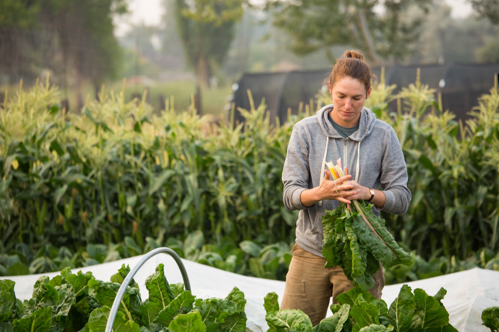 ANNABEL CLARK Editorial Photographer Seattle & NYC