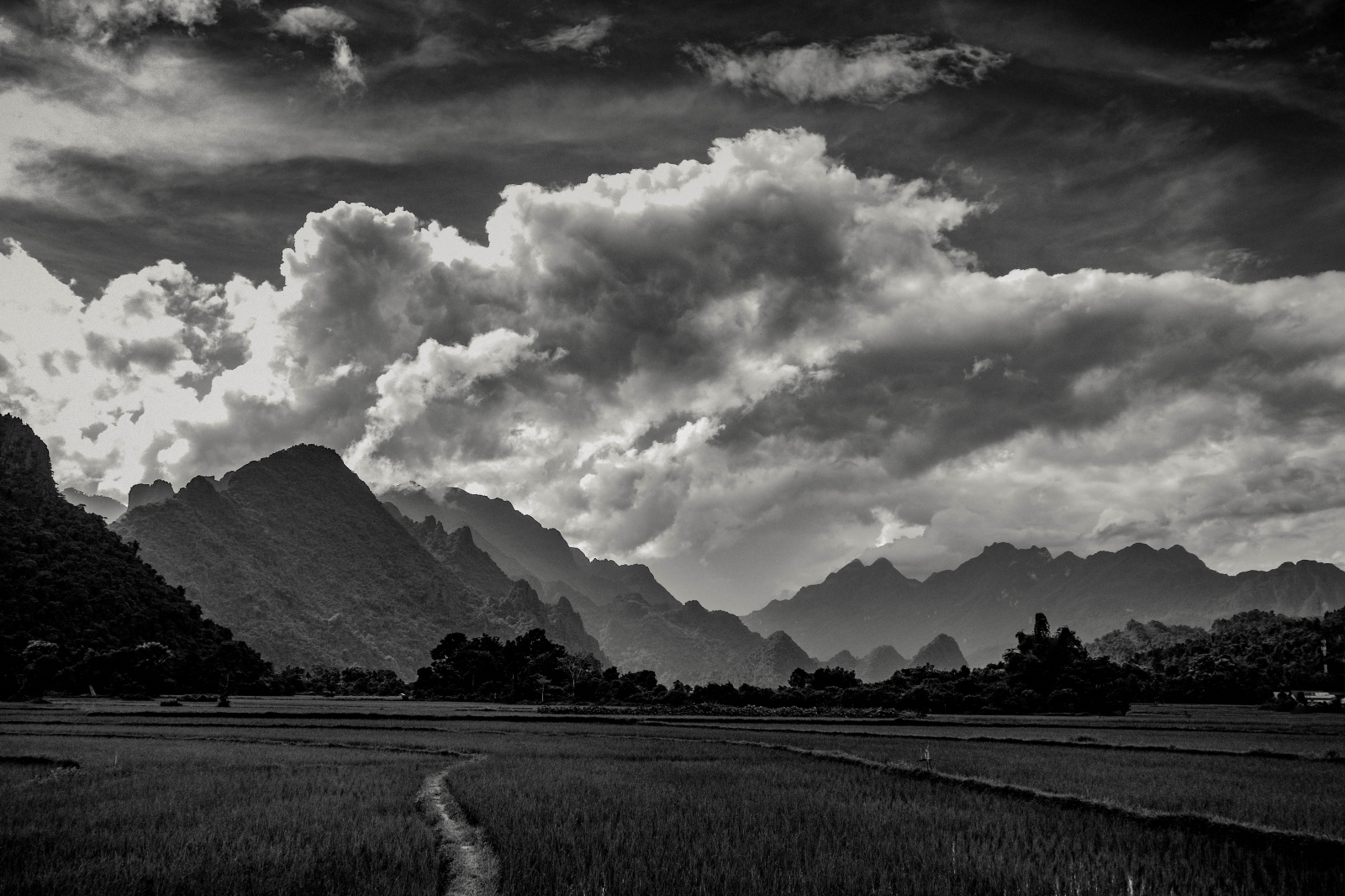 Simon Andrew MacArthur | Stories