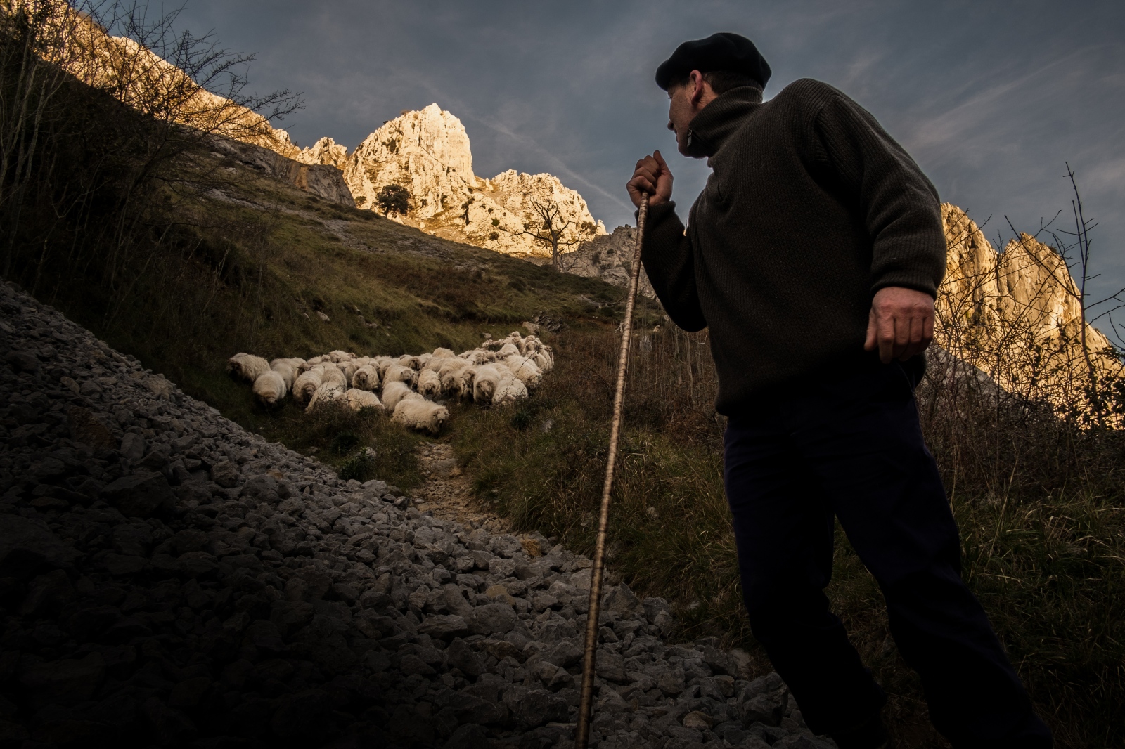 THE YOUNG BASQUE SHEPHERD - Ura Iturralde photographer
