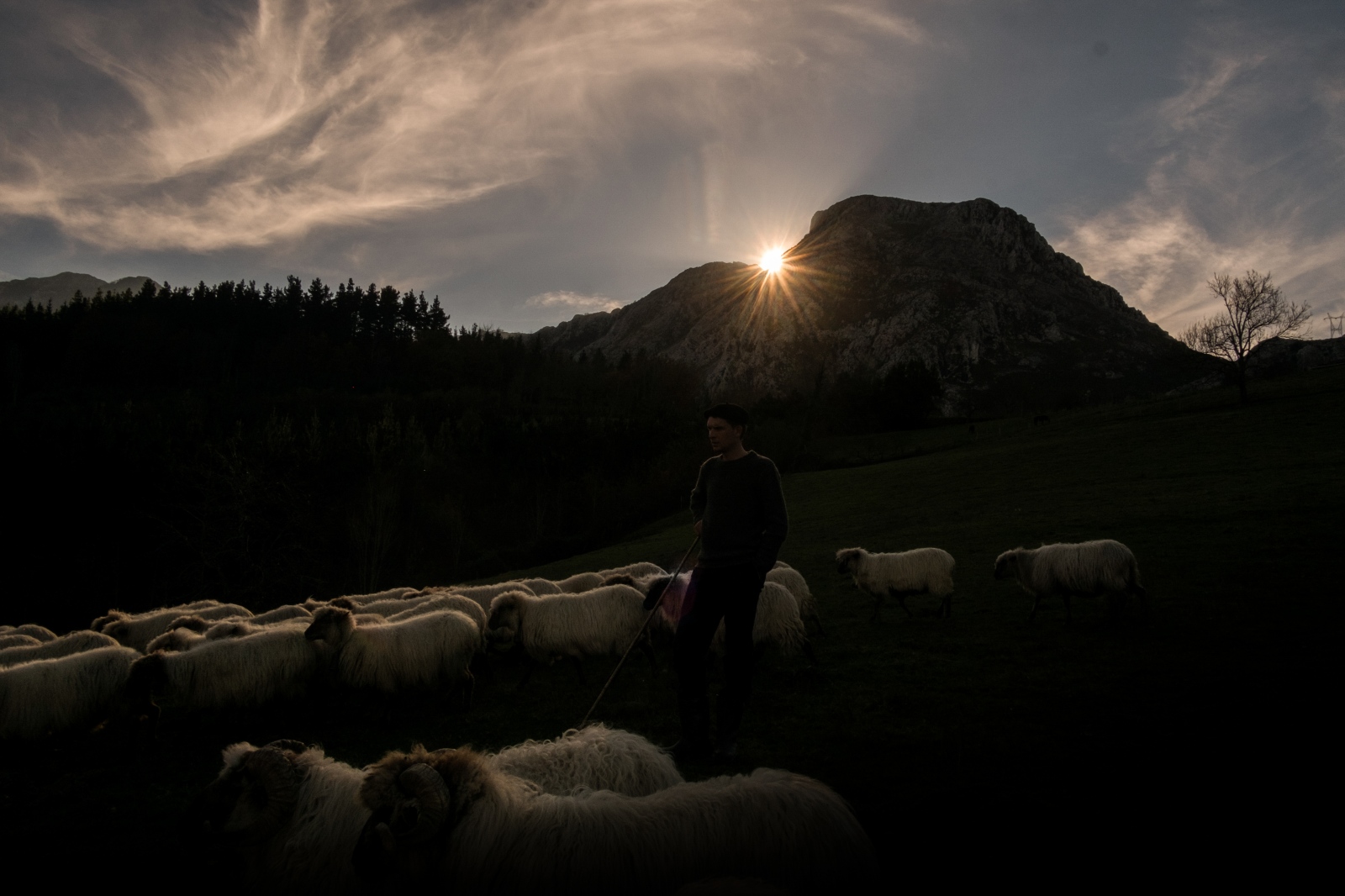 THE YOUNG BASQUE SHEPHERD - Ura Iturralde photographer