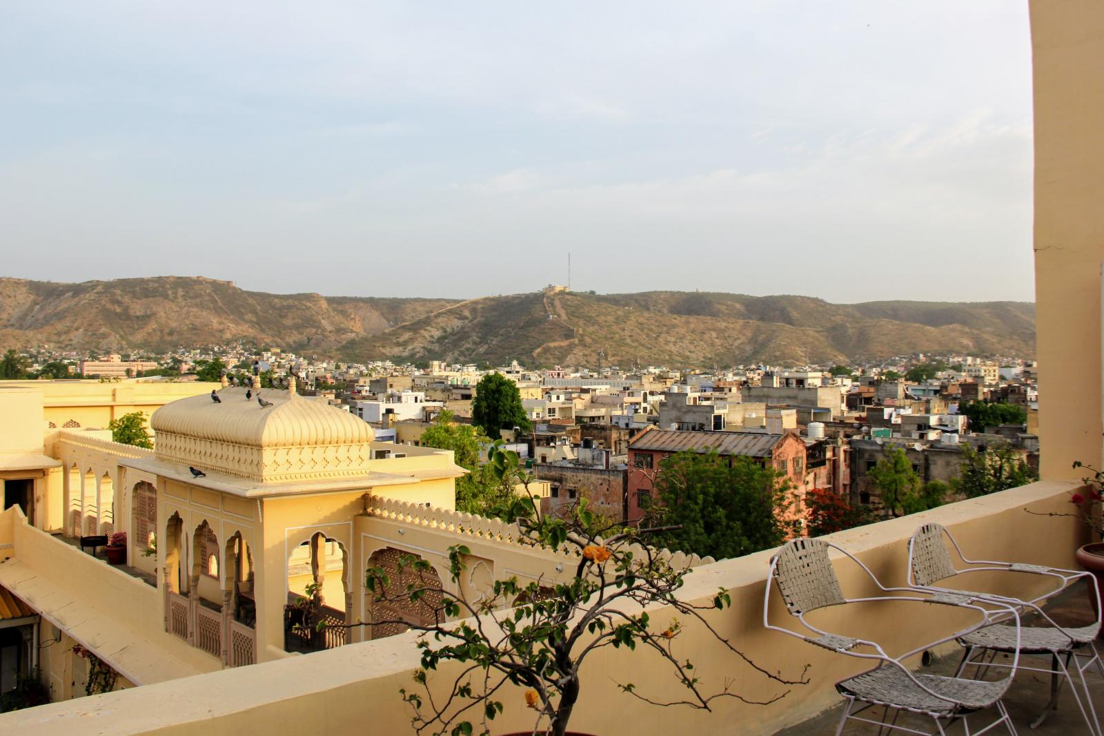 Jennifer Koons | Stories