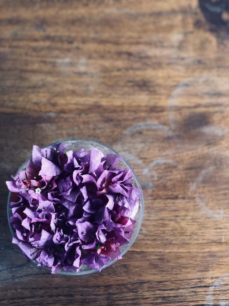 Jaipur 2019 by Jennifer Koons