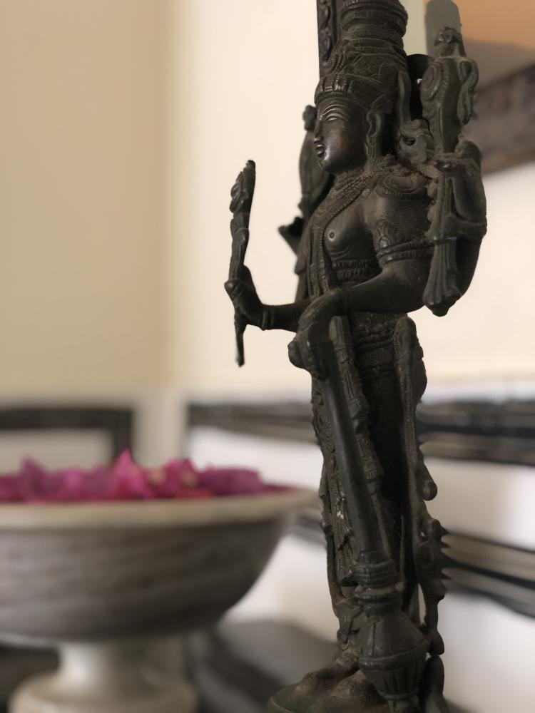 Jaipur 2019 by Jennifer Koons