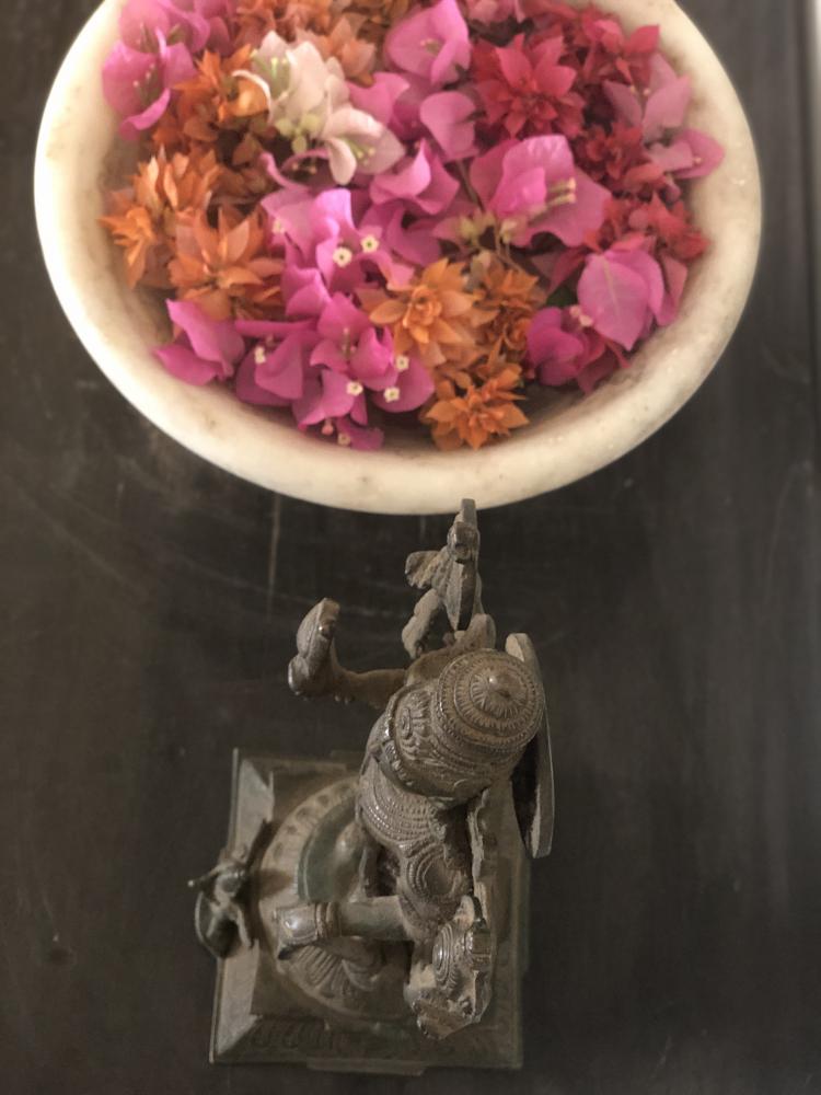 Jaipur 2019 by Jennifer Koons