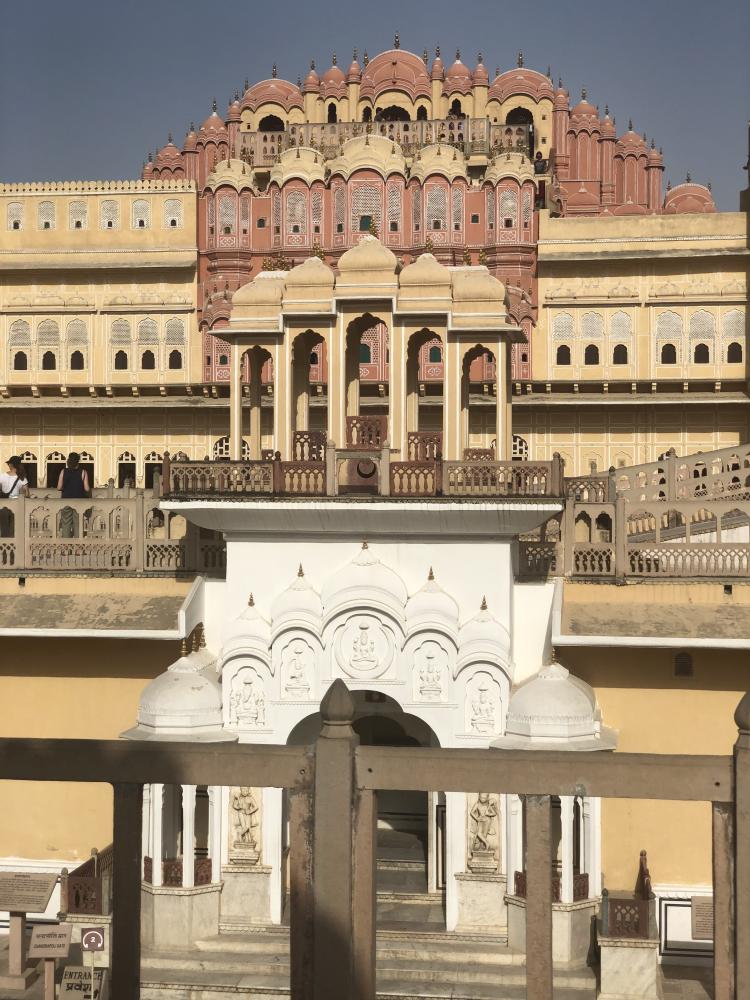 Jaipur 2019 by Jennifer Koons