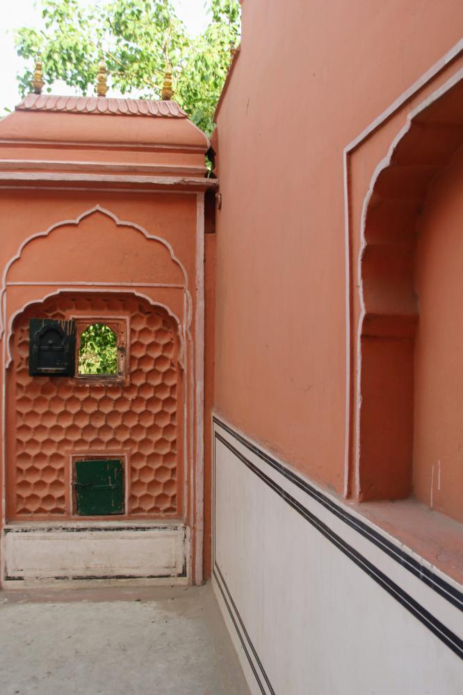 Jaipur 2019 by Jennifer Koons