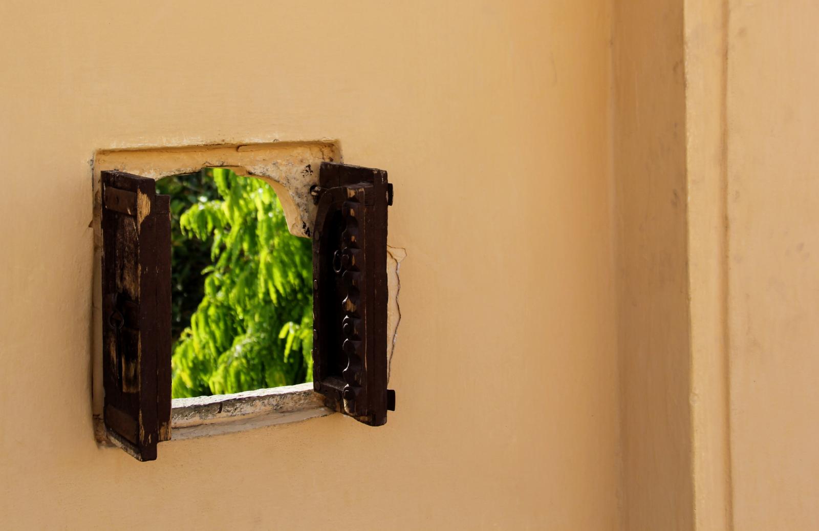 Jaipur 2019 by Jennifer Koons