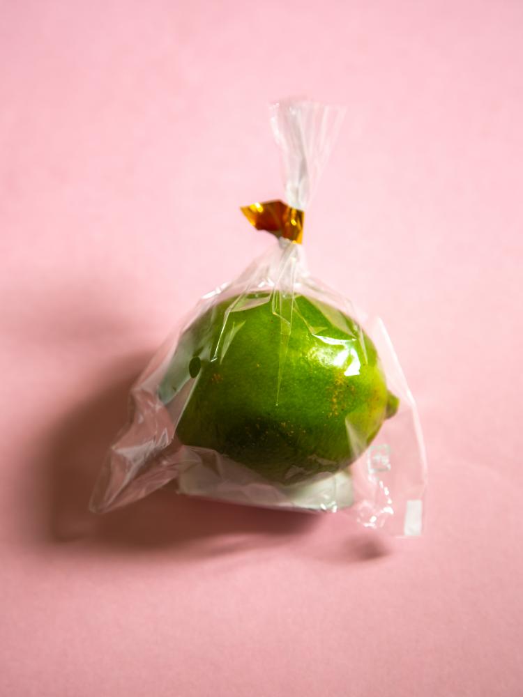 Federico Borella | Stories