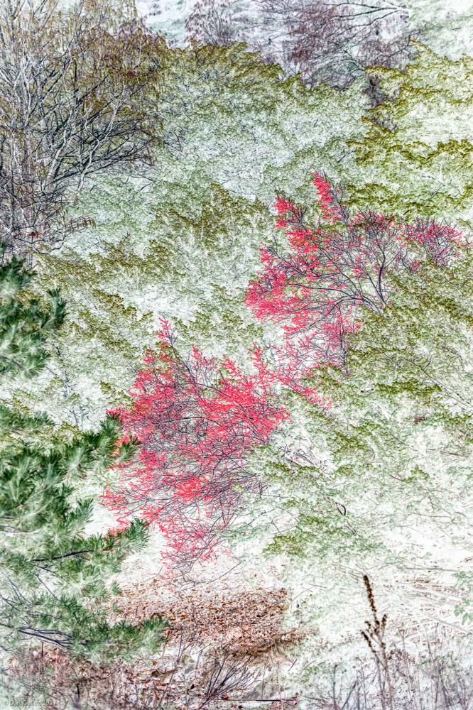 Abstract Photography Exploring Color and Brightness Aspects of Vision ...