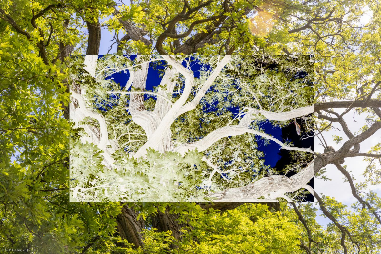 Abstract Photography Exploring Color and Brightness Aspects of Vision ...