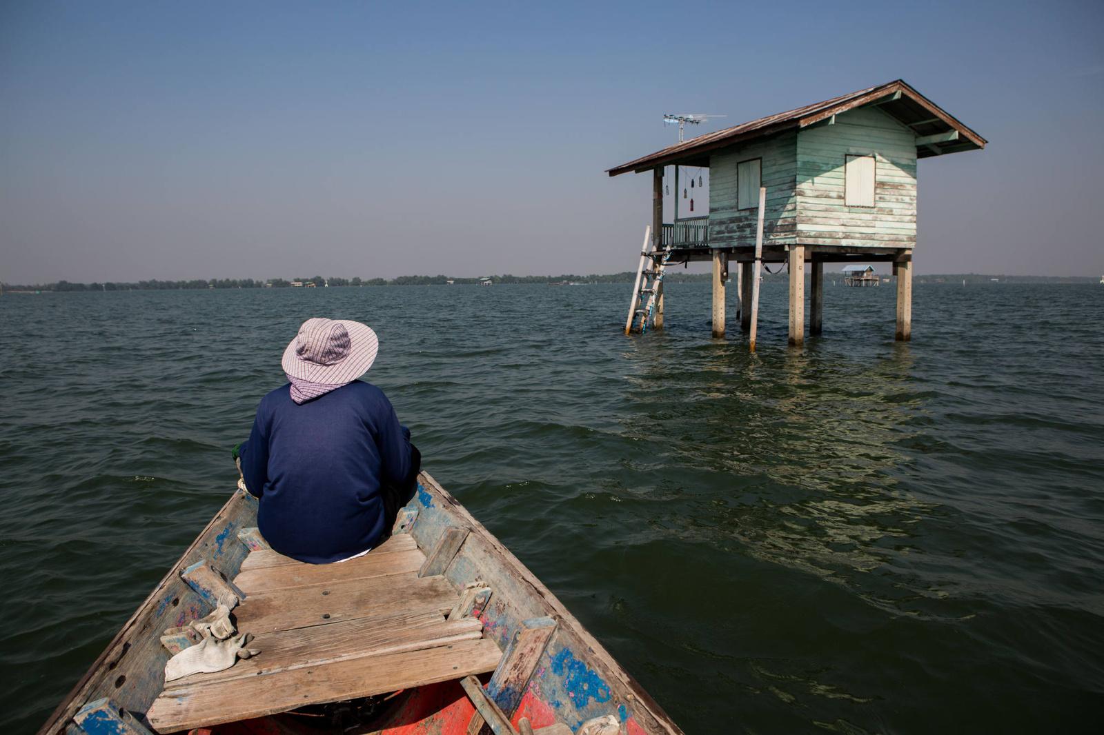 Commissions - Amanda Mustard | Photographer and Filmmaker