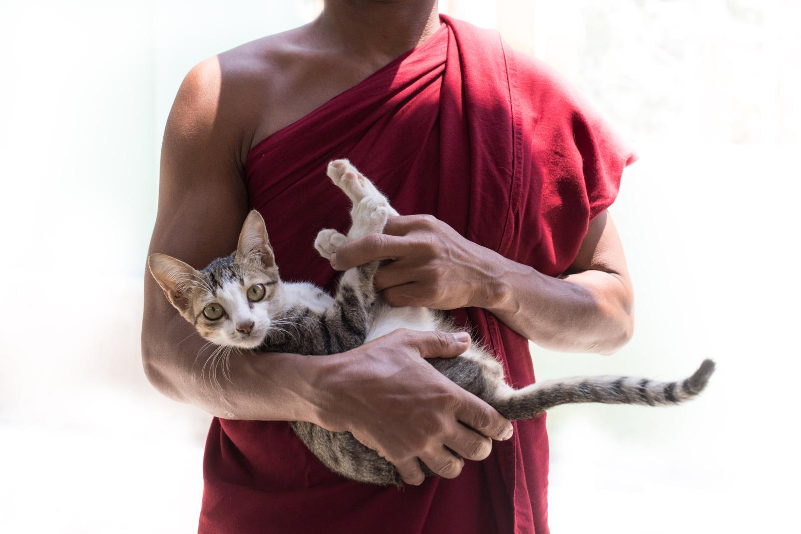 Commissions - Amanda Mustard | Photographer and Filmmaker