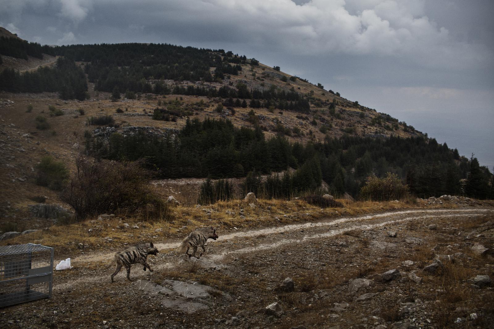 Fear and Sport Imperil Lebanon - Diego Ibarra Sanchez | Photographer