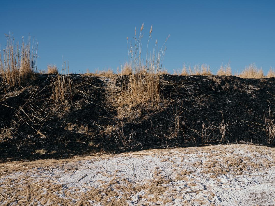 Waiting for Tishtrya - MAMAAT PROJECT | Iranian Artists | Ù¾Ø±ÙˆÚ˜Ù‡ Ù ...