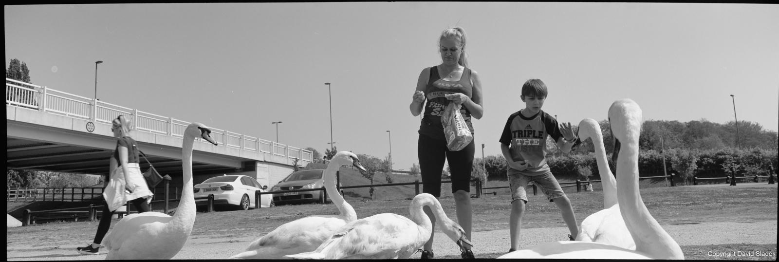 Fighting with my photographic-self in the lockdown by David Sladek