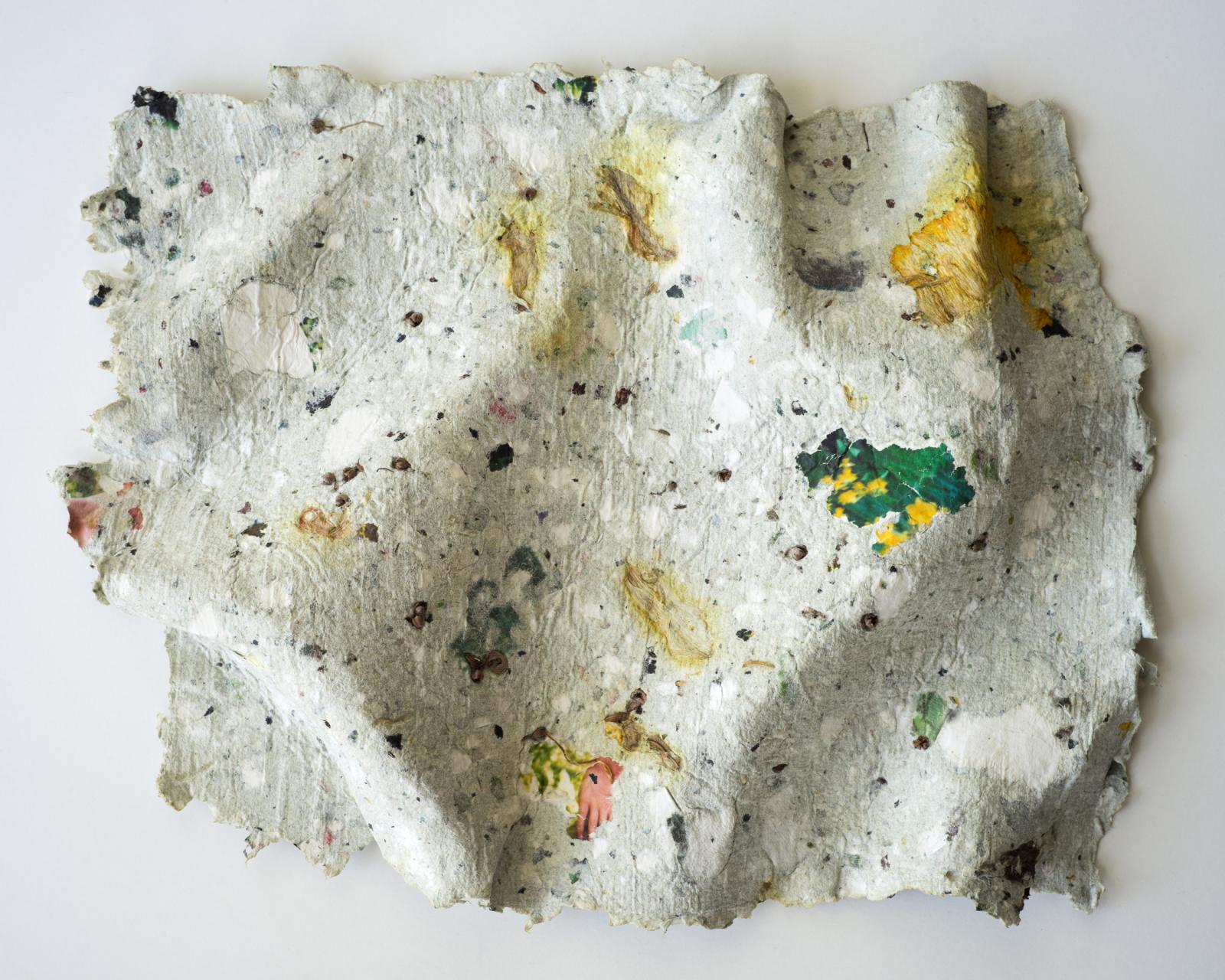 Floating Petals - Anna Leigh Clem