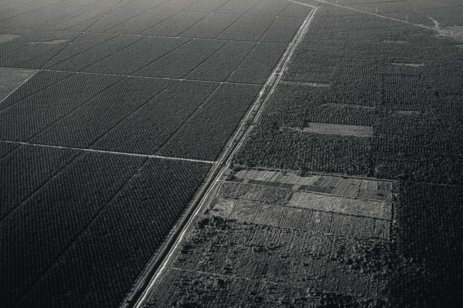 Tom White Photography