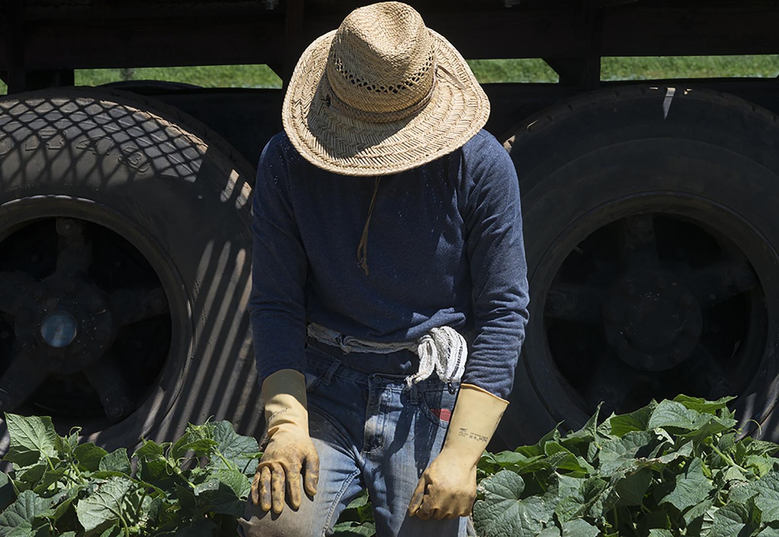 The Money She Has No Heart by Paul Calhoun