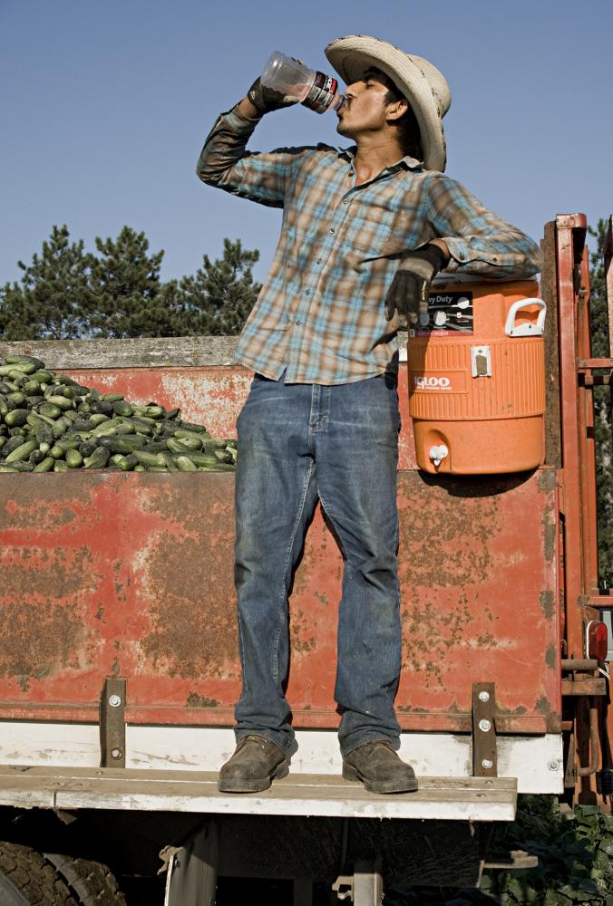 The Money She Has No Heart by Paul Calhoun