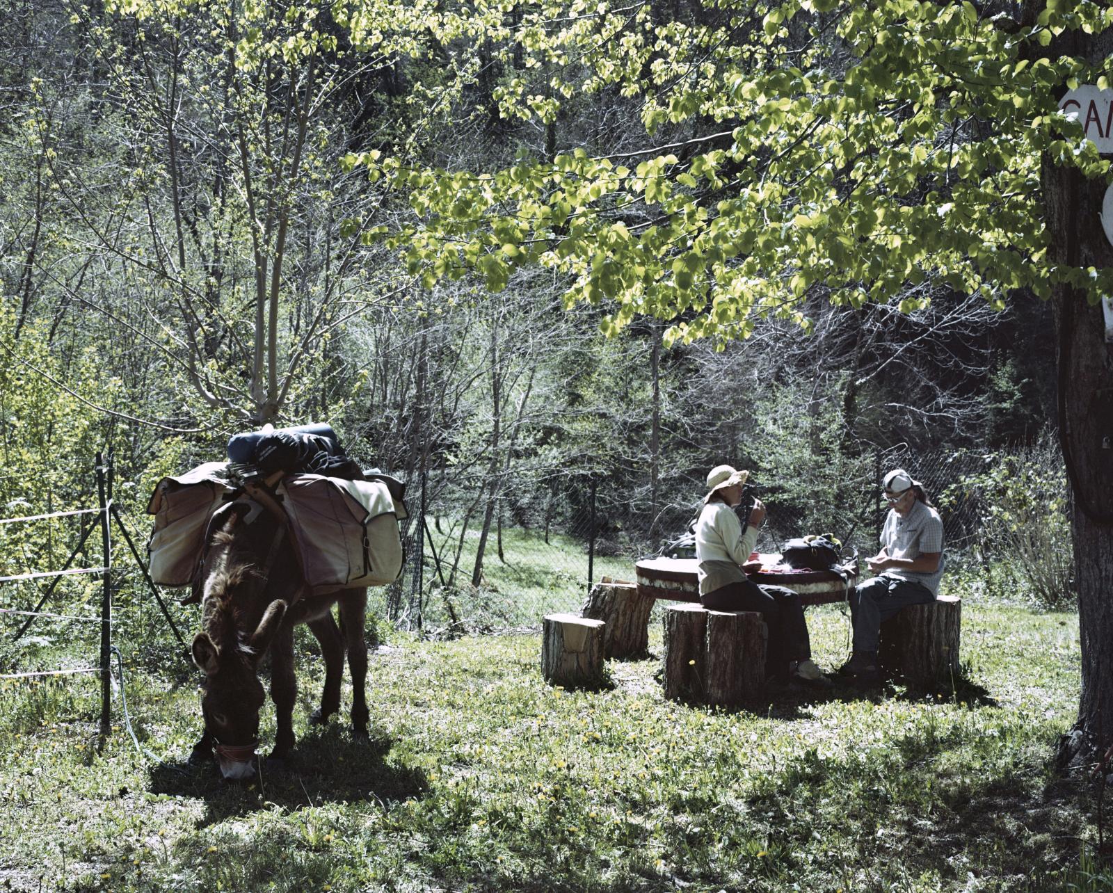Charlemagne Broken Dream - Tommaso Rada Photographer