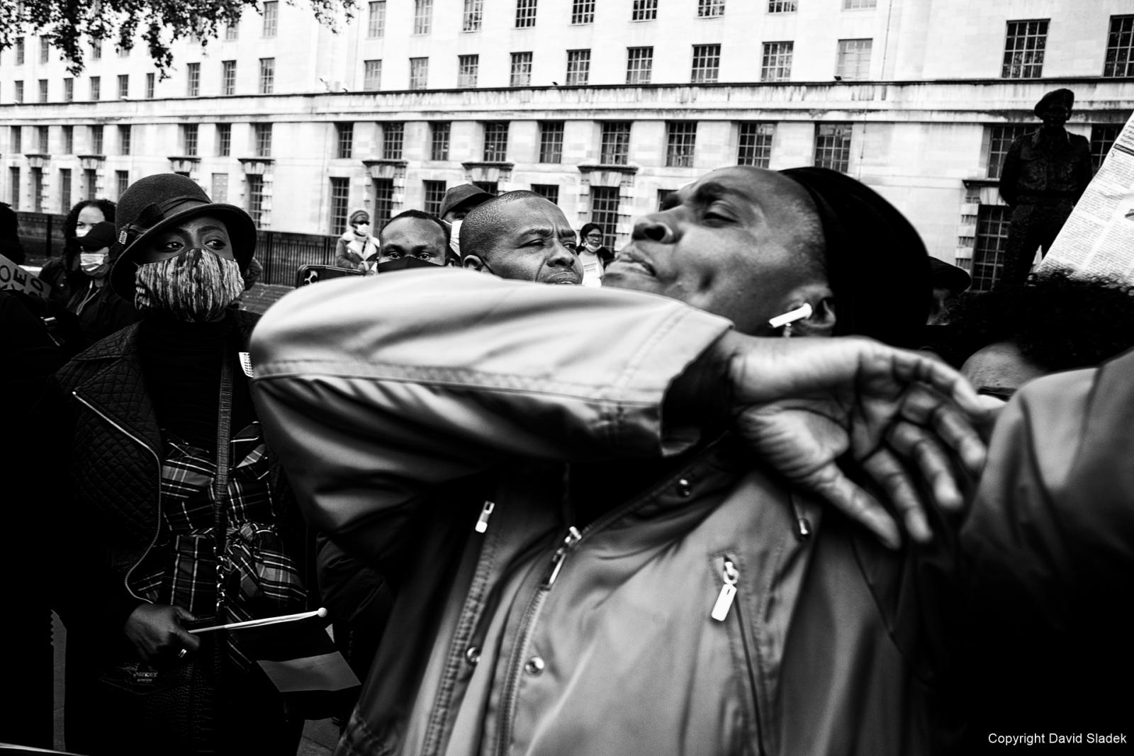 David Sladek | Stories