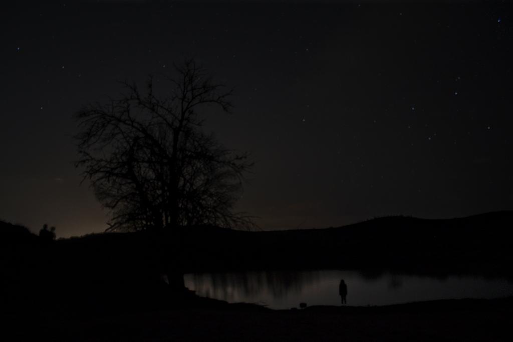 Bexée - Octavio López Jiménez