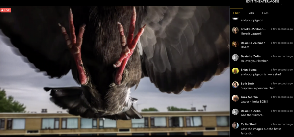 Summit Nat Geo 2021 by joana toro