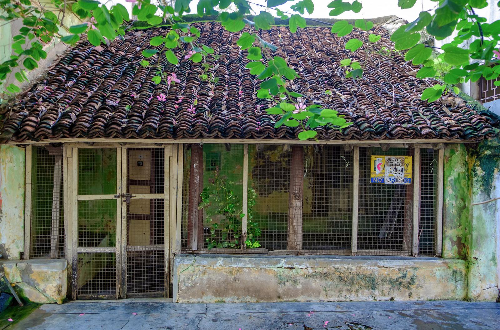 Thinnai - Vanishing tradition by Mouhamed Moustapha