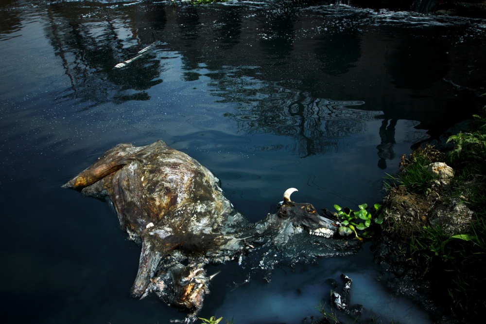 Environment Pollution In Bangladesh Environment 2019 02 04 environment-pollution-in-bangladesh-environment-2019-02-04