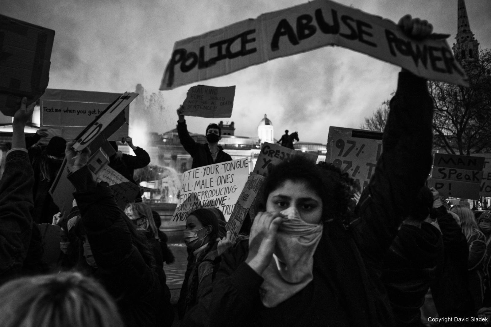 David Sladek | Stories