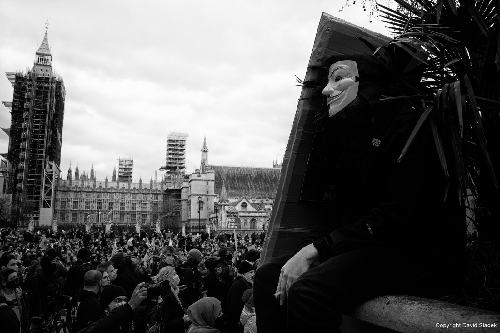 David Sladek | Stories