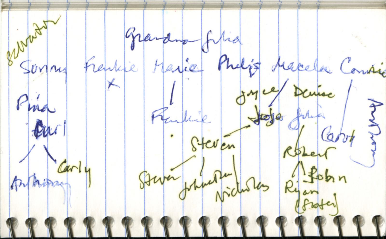 Prince Street Girls - Susan Meiselas