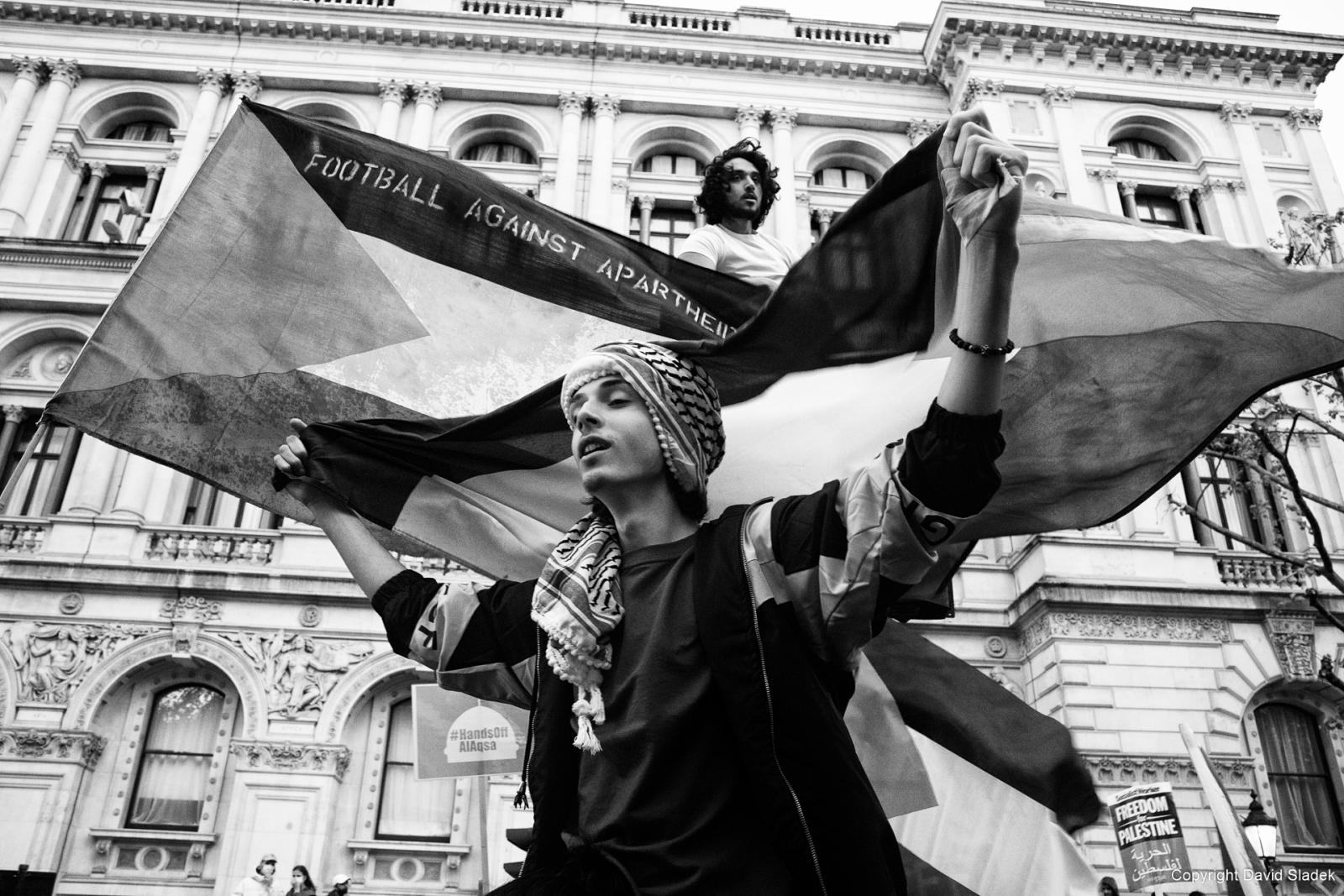 David Sladek | Stories