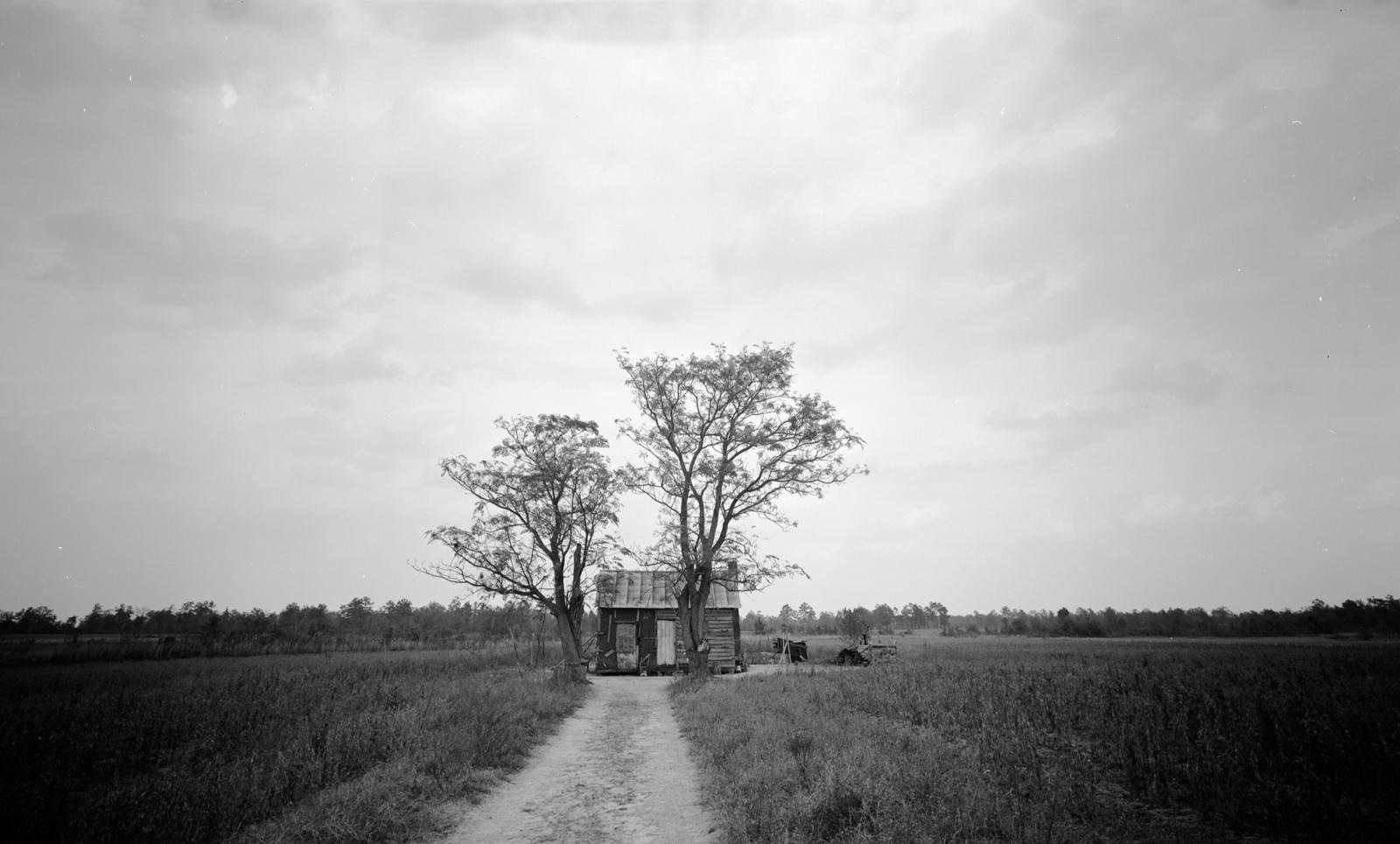 OVERVIEW - Susan Meiselas