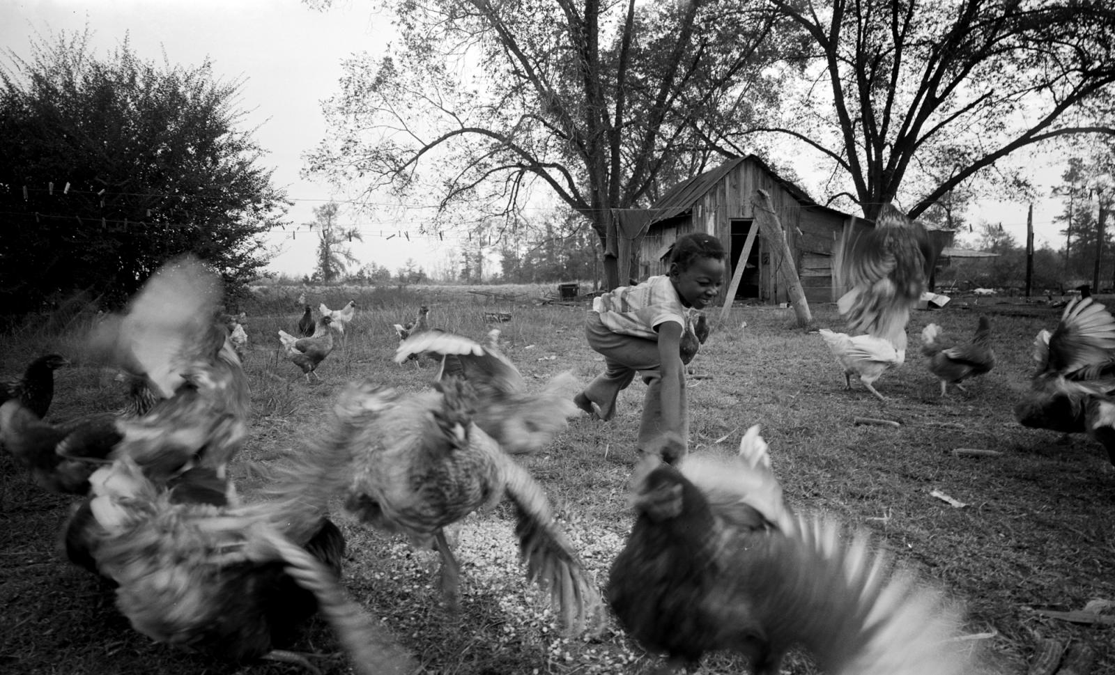 American South Porches - Susan Meiselas